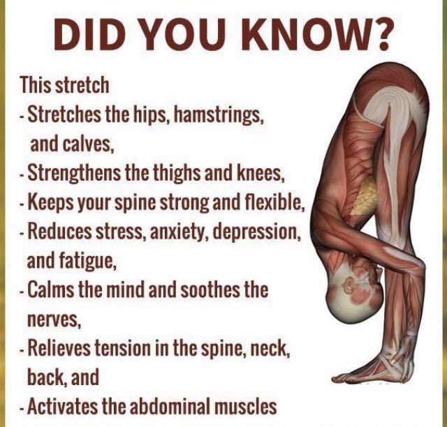 A perfect pose – Hayseeds Creative