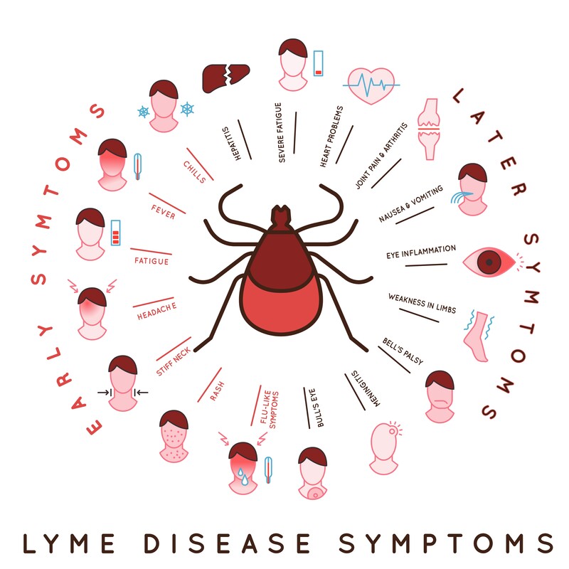 LYME DISEASE – Hayseeds Creative